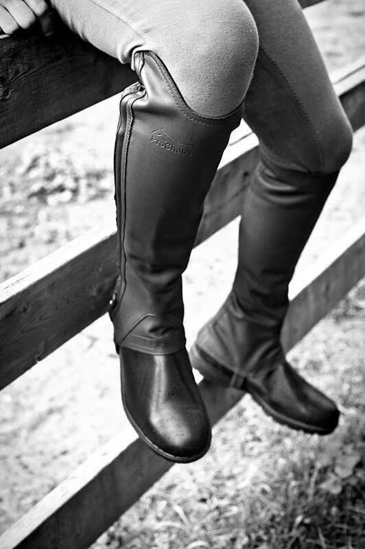 ProChaps The FIT Half Chap Brown Equestrian Horse Riding NEW | eBay