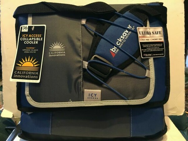 California Innovations 24 Can Easy-access Collapsible Cooler Bag for ...