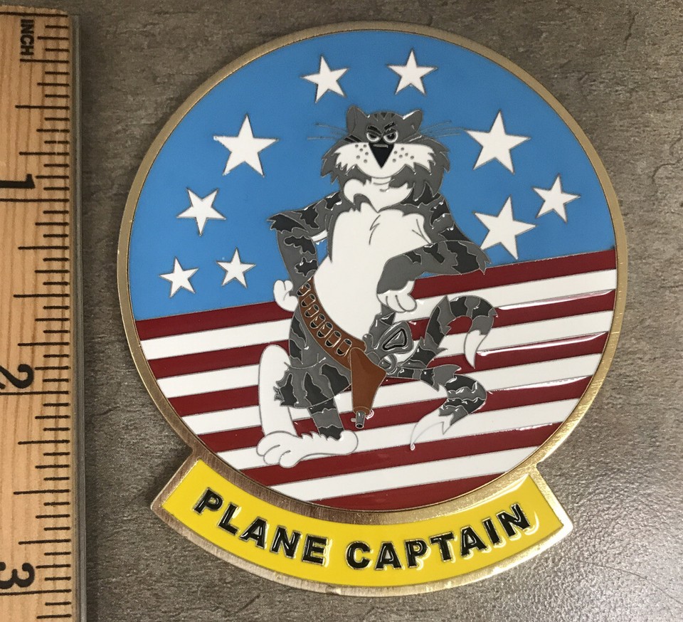 F-14 Tomcat Plane Captain Challenge Coin | eBay