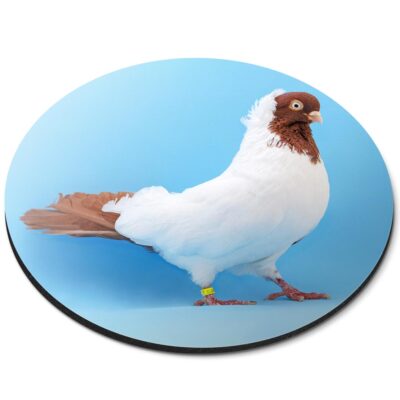 Round Mouse Mat German Monk Pigeon Fancy Bird #51009 | eBay UK