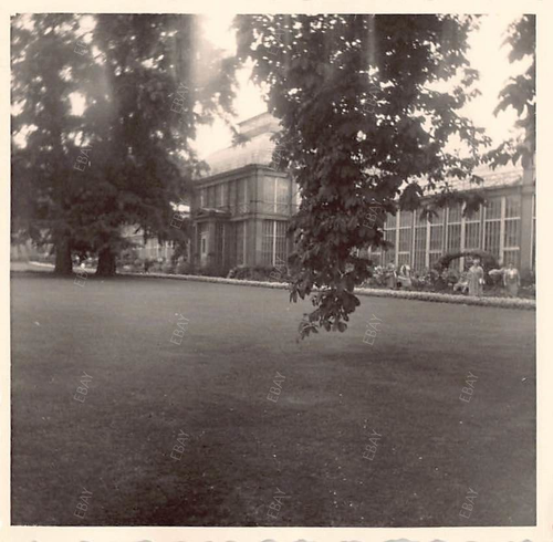 Old Photo Snapshot 60s Old Building Office At Kassel Germany #33 Z39 | eBay