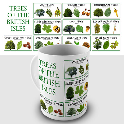 Trees of the British Isles Educational Gift Mug | eBay UK