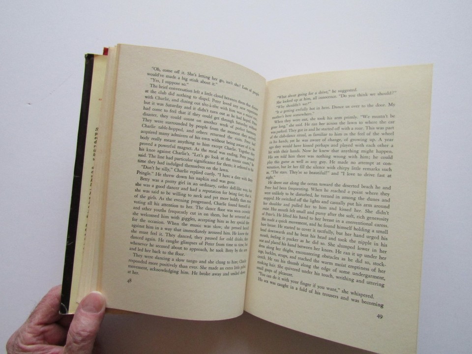 Rare Gay Lit. Gordon Merrick's Iconic THE LORD WON'T MIND, 1970 1ST ED ...