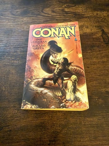 Conan The Guardian By Roland Green 1st Print 1991 TOR Vintage | eBay