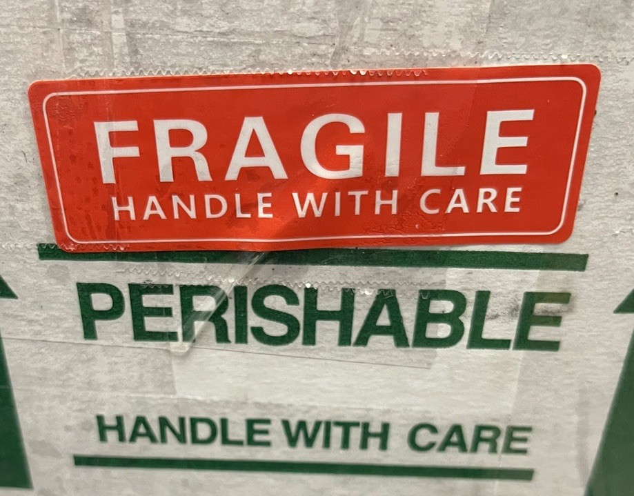 Test Tube Ant Farm Nest Formicarium For Desert Fire Ant Queen w/100 ...