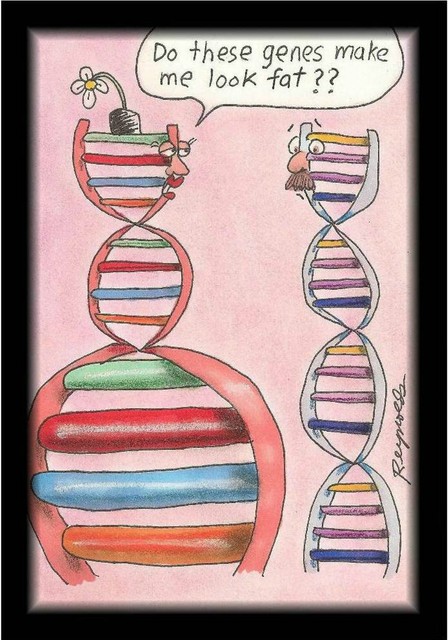 MAGNET Humor Fridge DNA Strands Genes But Look Big | eBay