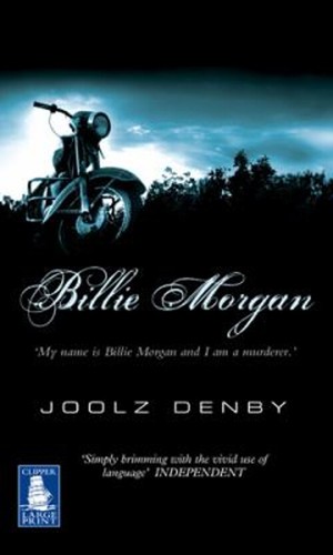 Billie Morgan Couverture Rigide Joolz Denby 9781845058074 | eBay