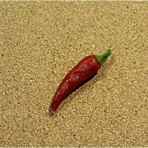 Chile Criollo Hot Peppers Seeds (25 Seed Packet) (More Heirloom ...