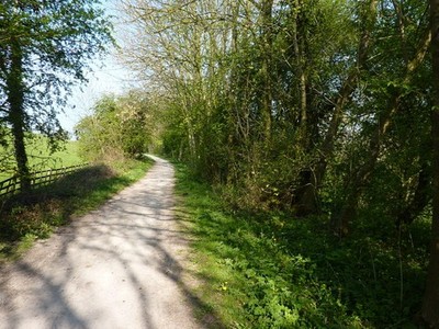 Photo A3 Tissington Trail, spring sunlight Fenny Bentley c2011 | eBay