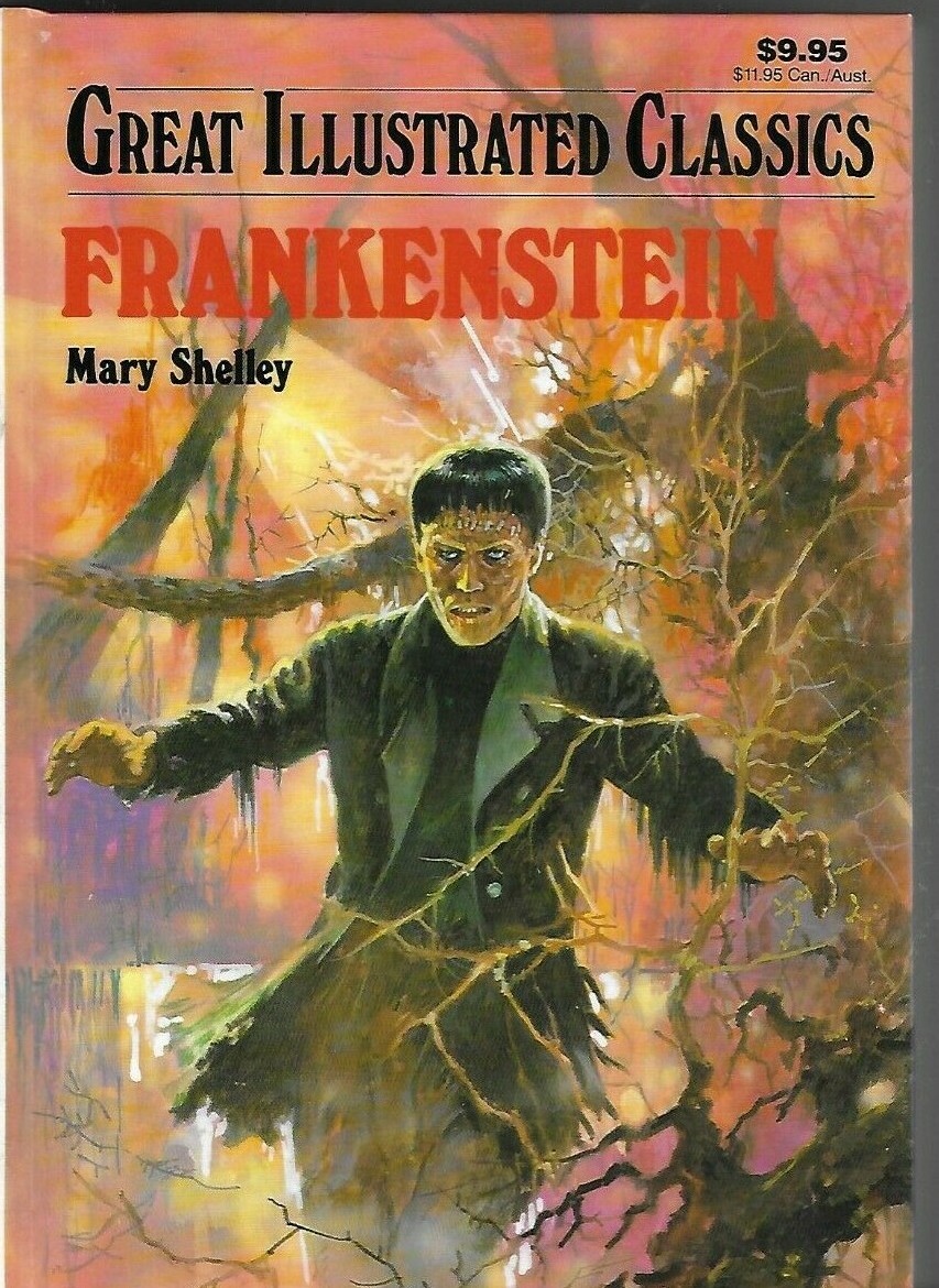 Frankenstein Book Cover