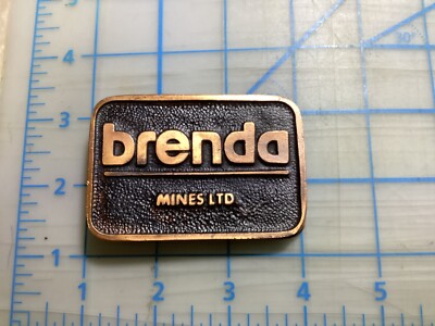 BRENDA MINES LTD Belt Buckle | eBay