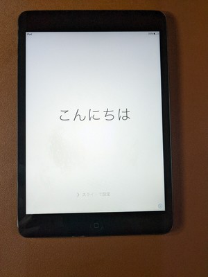 Apple iPad Mini 1st Gen A1432 Blue - Wi-Fi - Reset and Tested | eBay