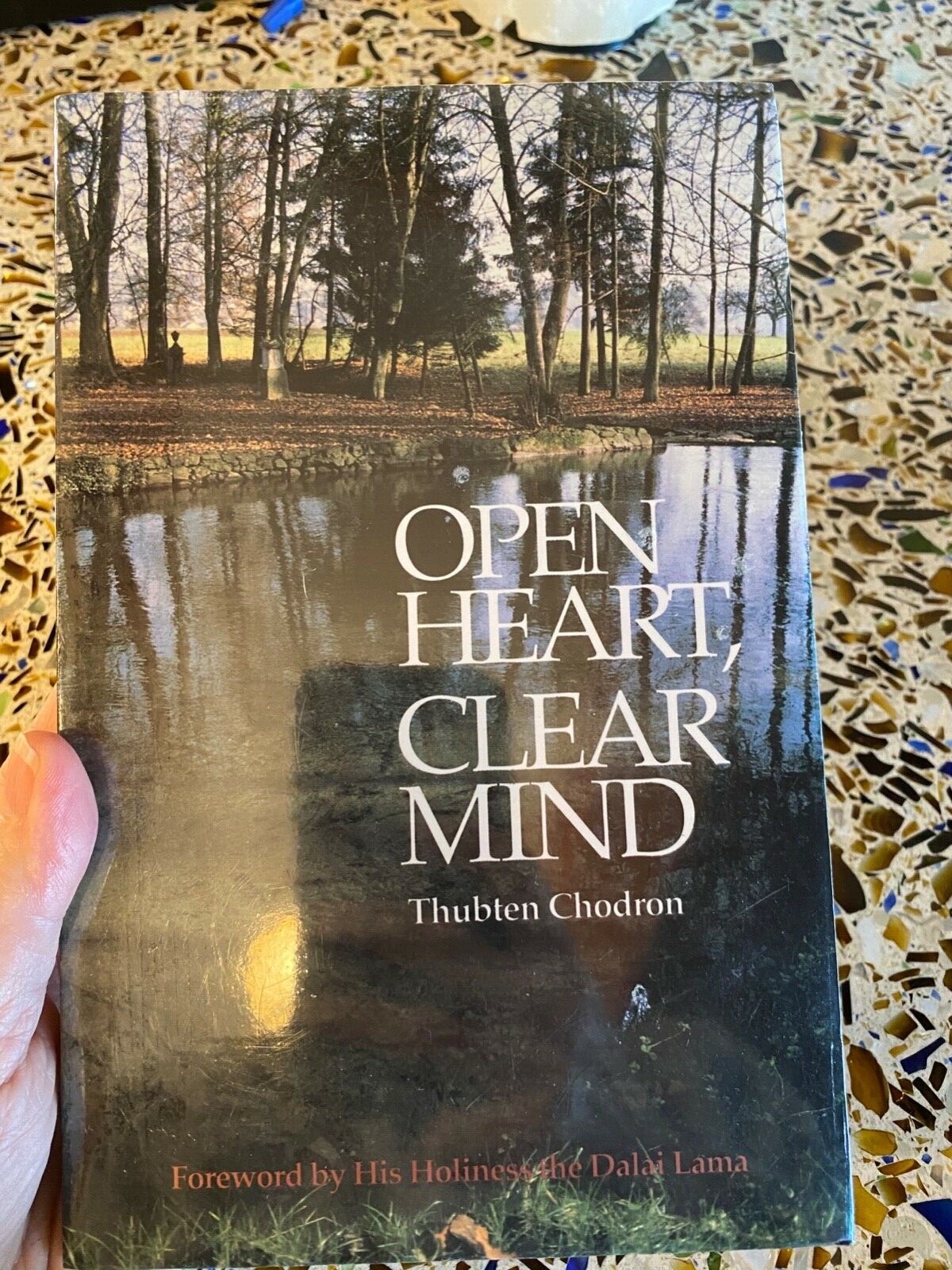 Open Heart, Clear Mind : An Introduction to the Buddha's Teachings by ...