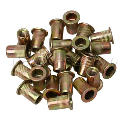 6mm Threaded Rivet Inserts Riv sert Carbon Steel M6 25pcs | eBay