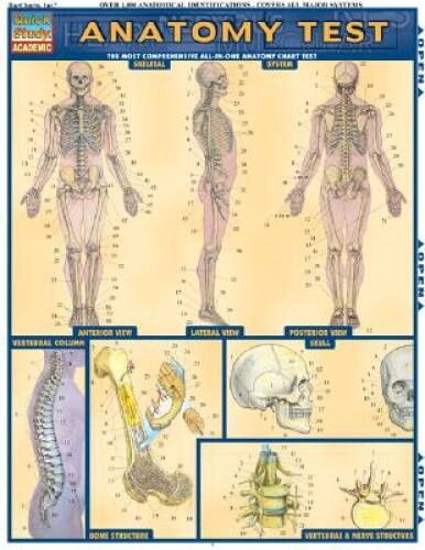 Anatomy Test (Quick Study Guides-Academic) - Pamphlet - VERY GOOD ...
