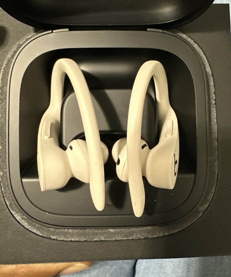 Apple Beats by Dr. Dre Powerbeats Pro Totally Wireless With Apple Care ...