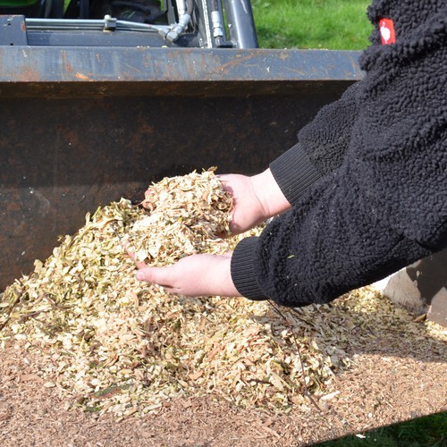 Benzin Häcksler Holzhäcksler Gartenhäcksler Motor Schredder 7PS Profi ...