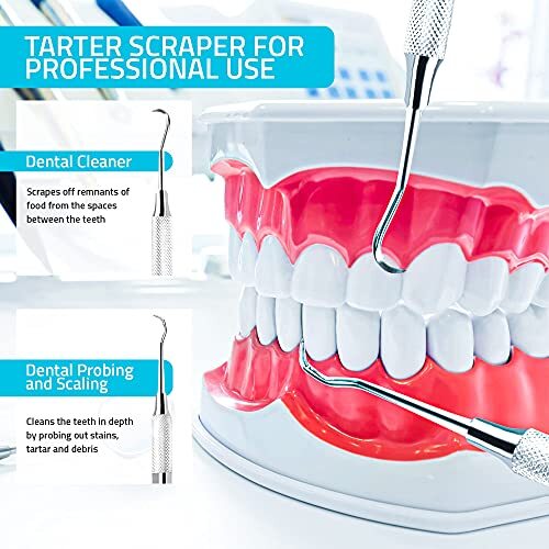 - Professional Dental Tartar Scraper Tool - Dental Pick, Double Ended ...