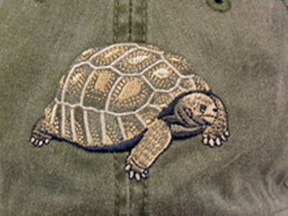 Tortoise Embroidered Cotton Cap NEW | eBay
