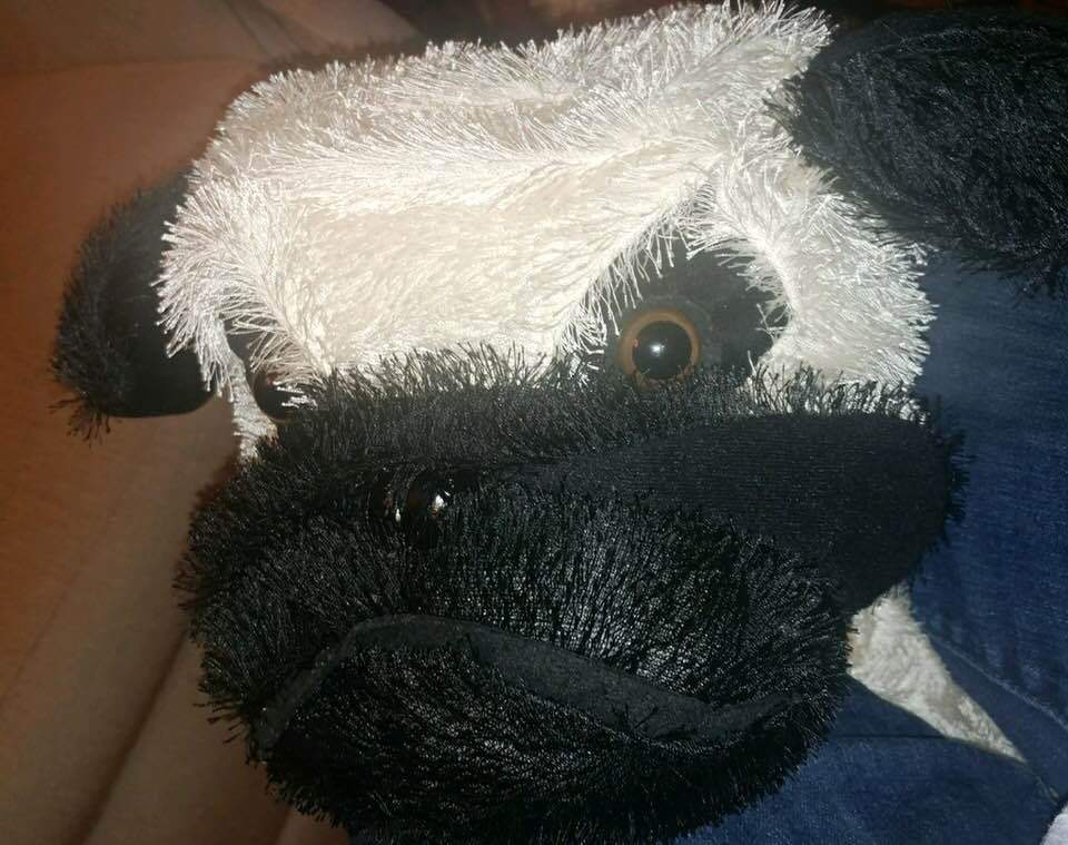 Large Bulldog Pug Peek-a-boo x-plush cream & black~ 24in~chubby face ...
