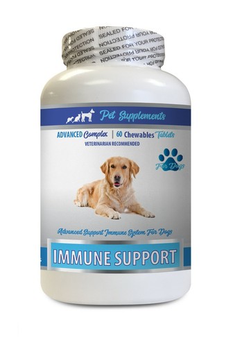 immune dog treats - IMMUNE SUPPORT FOR DOGS - mushroom supplement for ...