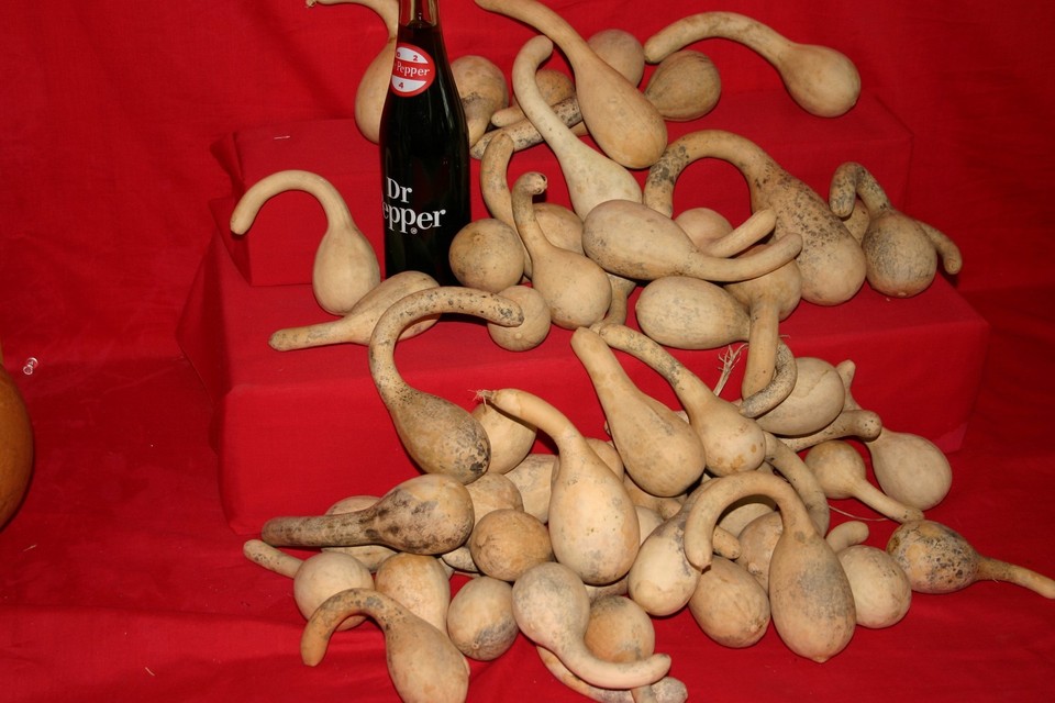 GOURDS 100 SHORT HANDLE SPOON GOURDS ( CLEANED AND DRIED ) | eBay