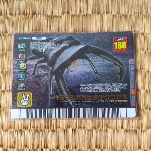 [SC] ya71 Mushiking Forest Green Palawan Flying Stag Beetle | eBay