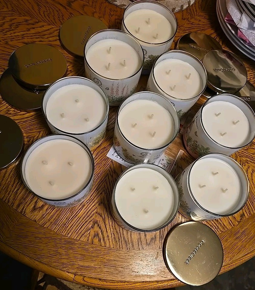 Goose Creek PETER RABBIT CANDLE COLLECTION 3-Wick Candles Set of 9 ...