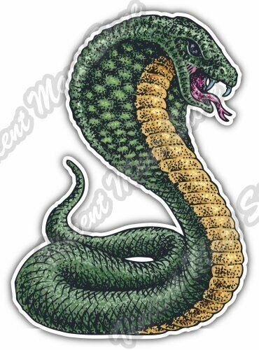 Cobra Venomous Snake Reptile Venom Green Car Bumper Vinyl Sticker Decal ...