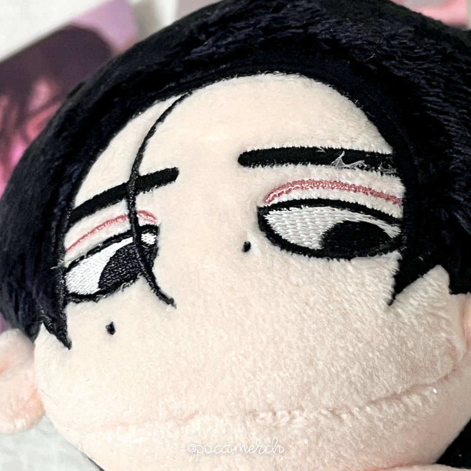ENHYPEN MINI DOLL 10cm PLUSH TOY Sunghoon Jake Jungwon Jay ENGENE ...