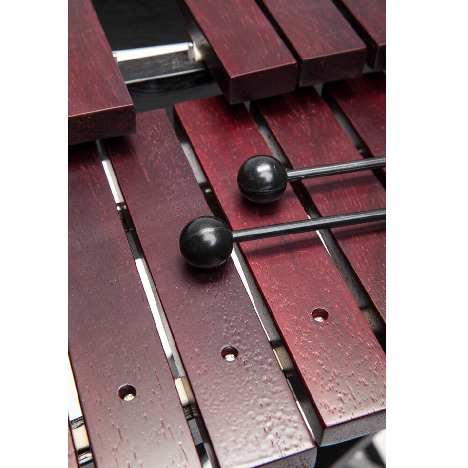 Stagg XYLO-SET 37 Key Xylophone Complete With Mallets, Stand, and Gig ...