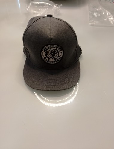 Cayler & Sons Bravehearted Hat New Snapbacks Grey Crested Logo Streetwear | eBay