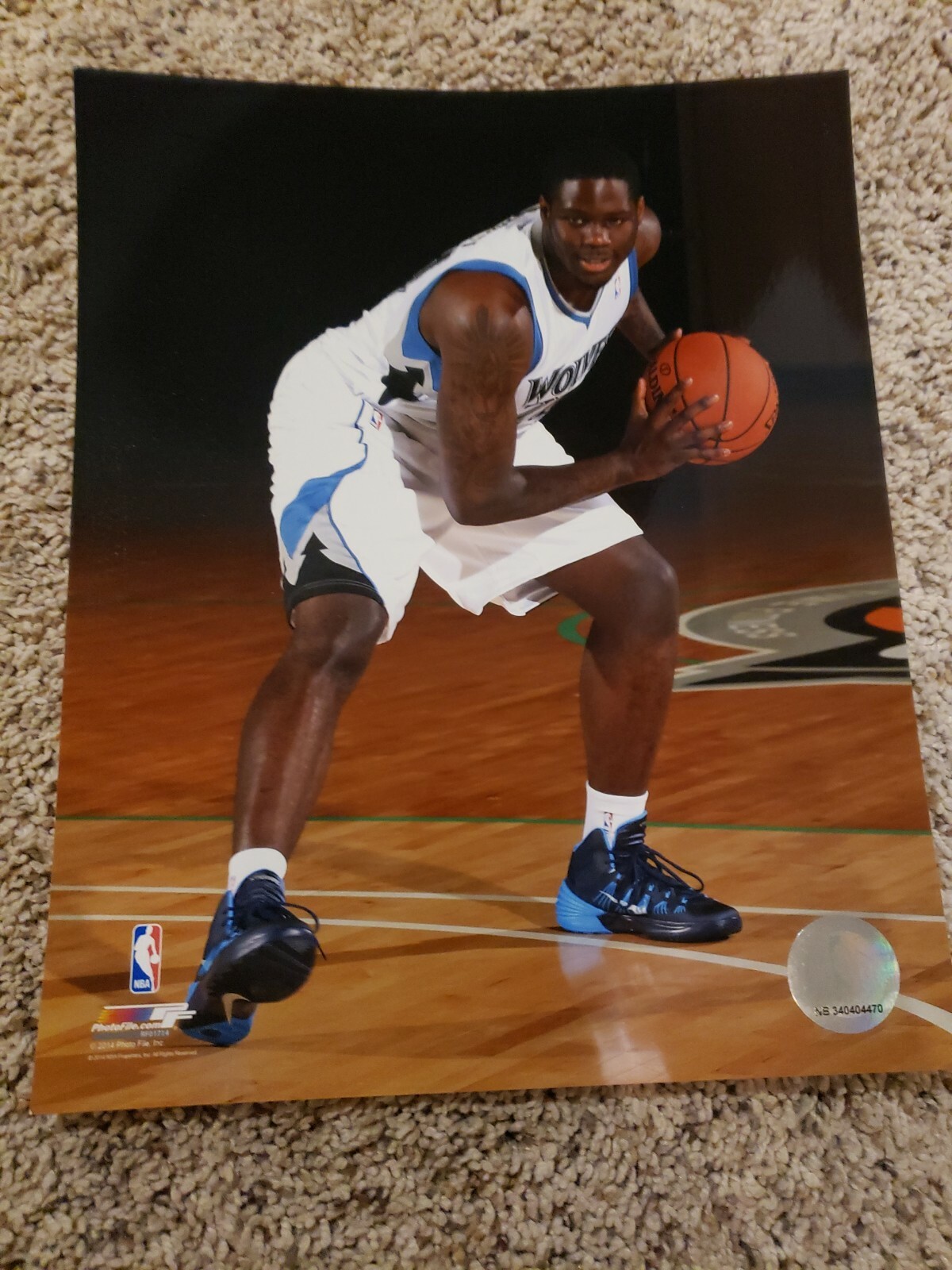 Anthony Bennett Timberwolves