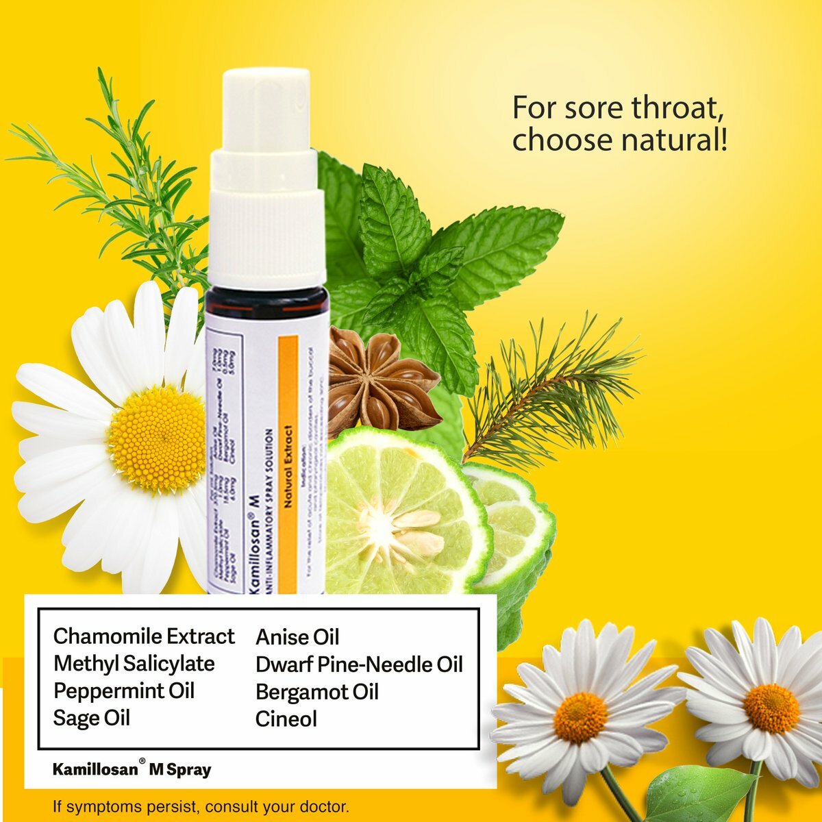 Pack 3 pcs Kamillosan M Mouth Spray Chamomile Oral Bacterial Tonsil Bad ...