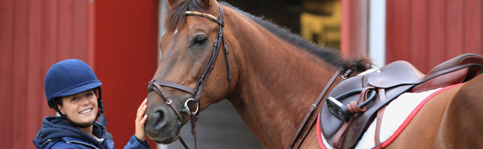 Snowflake Softchip High Performance Bedding, Shavings, Wood Chip 18 ...