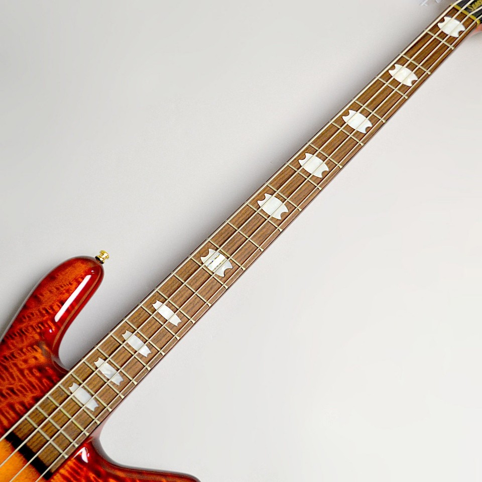 Spector EURO4 LX RAS LAYER Bass Guitar Banjo Dream! Safe delivery from ...