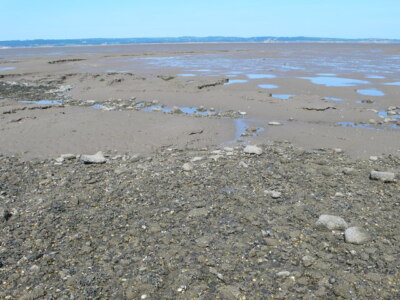 Photo 6x4 Mudflats, Traeth Lafan Llanfairfechan At low tide, a vast ...
