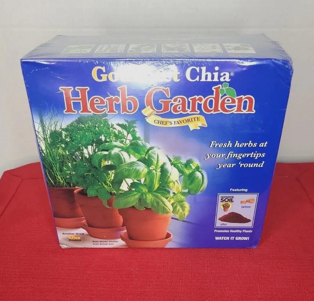 Chia Growing In Raised Beds