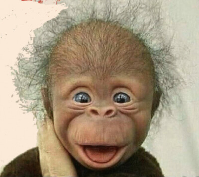 Custom Conjured Baby Chip Monkey Child that will fit to your Needs ...