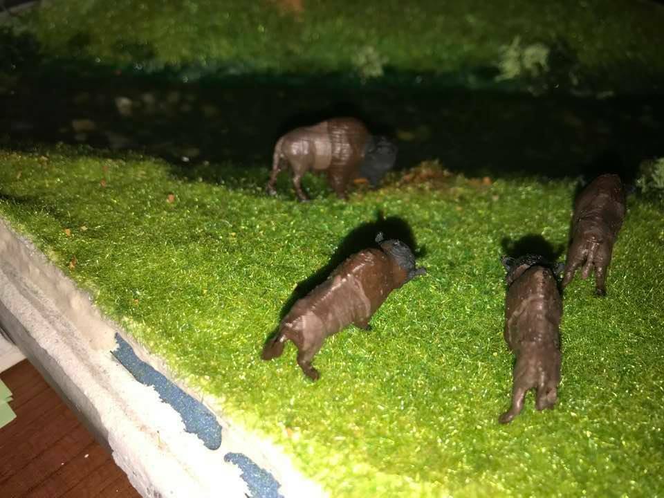 1/64 Scale Bison ( Buffalo) Animal Set Painted | eBay
