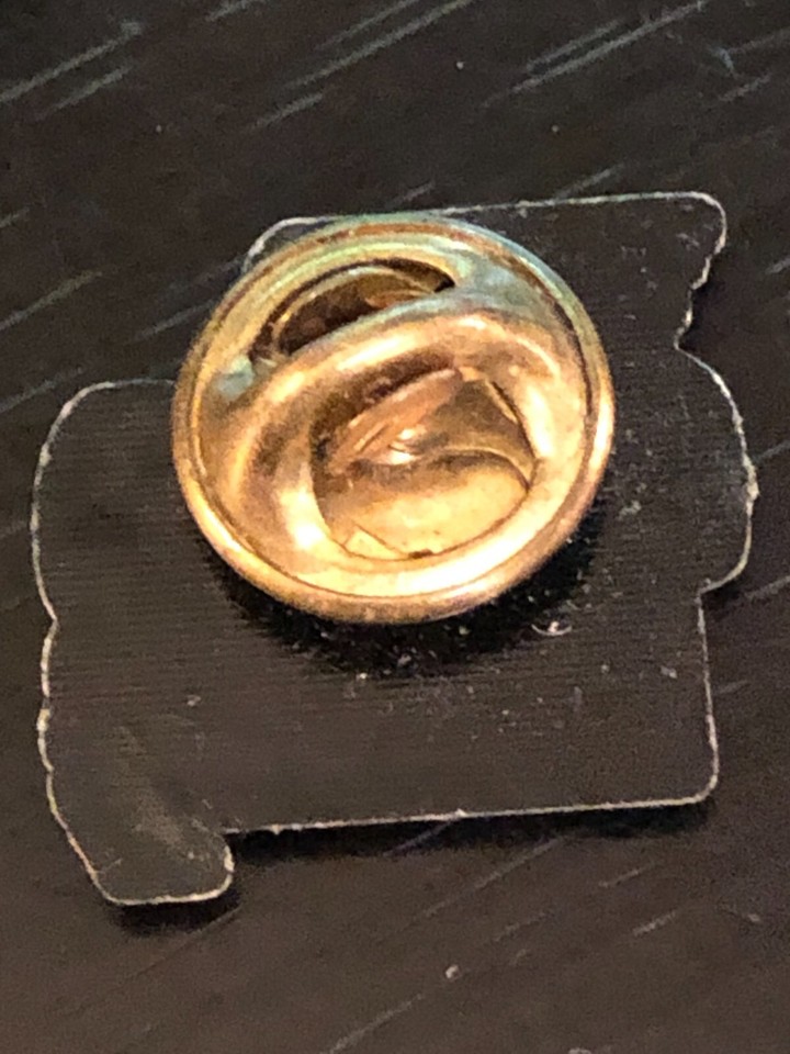 Vintage Collectible Missouri Color Plastic Pinback Lapel Pin Hat Pin | eBay