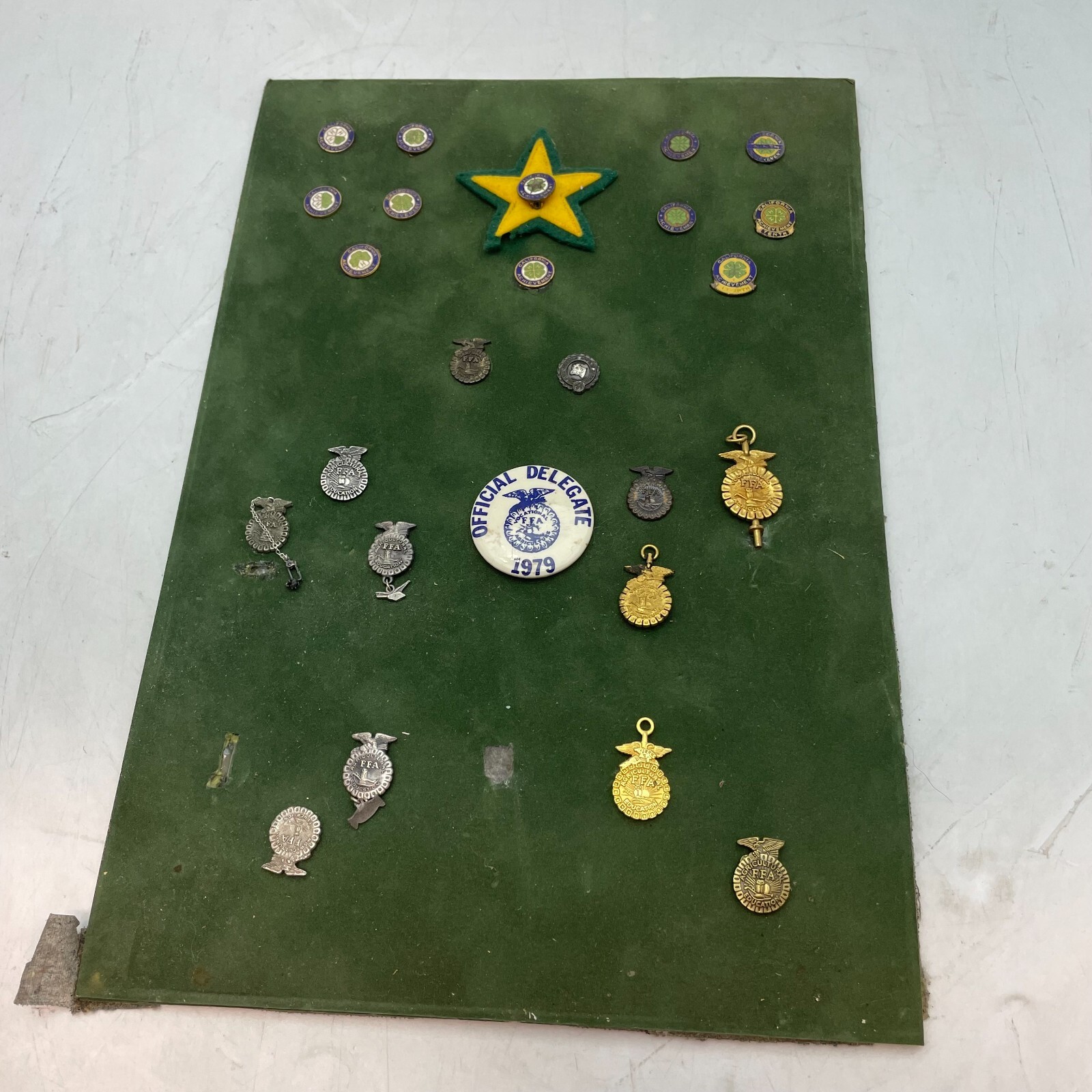 Vintage Collection of California 4-H and FFA Agriculture Pins 1960s ...