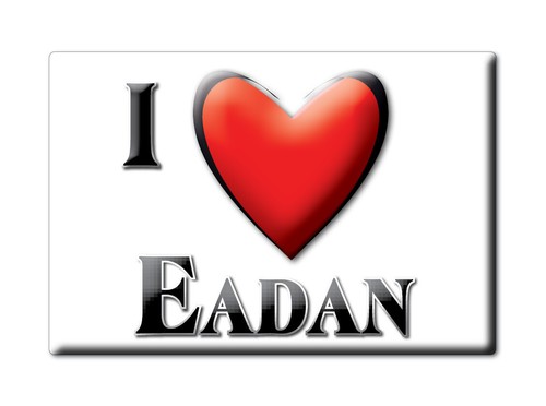 Eadan Fridge Magnet Name Gift Idea Birthday Graduation Birth | eBay