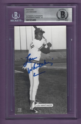 LOU WHITAKER SIGNED JD MCCARTHY POSTCARD ROOKIE CERTIFIED AUTOGRAPH ...