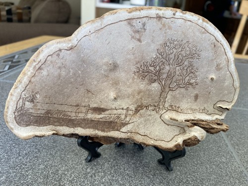 Artist Conk Tree Shelf Fungus Mushroom Hand Etched Pyrography Folk Art ...
