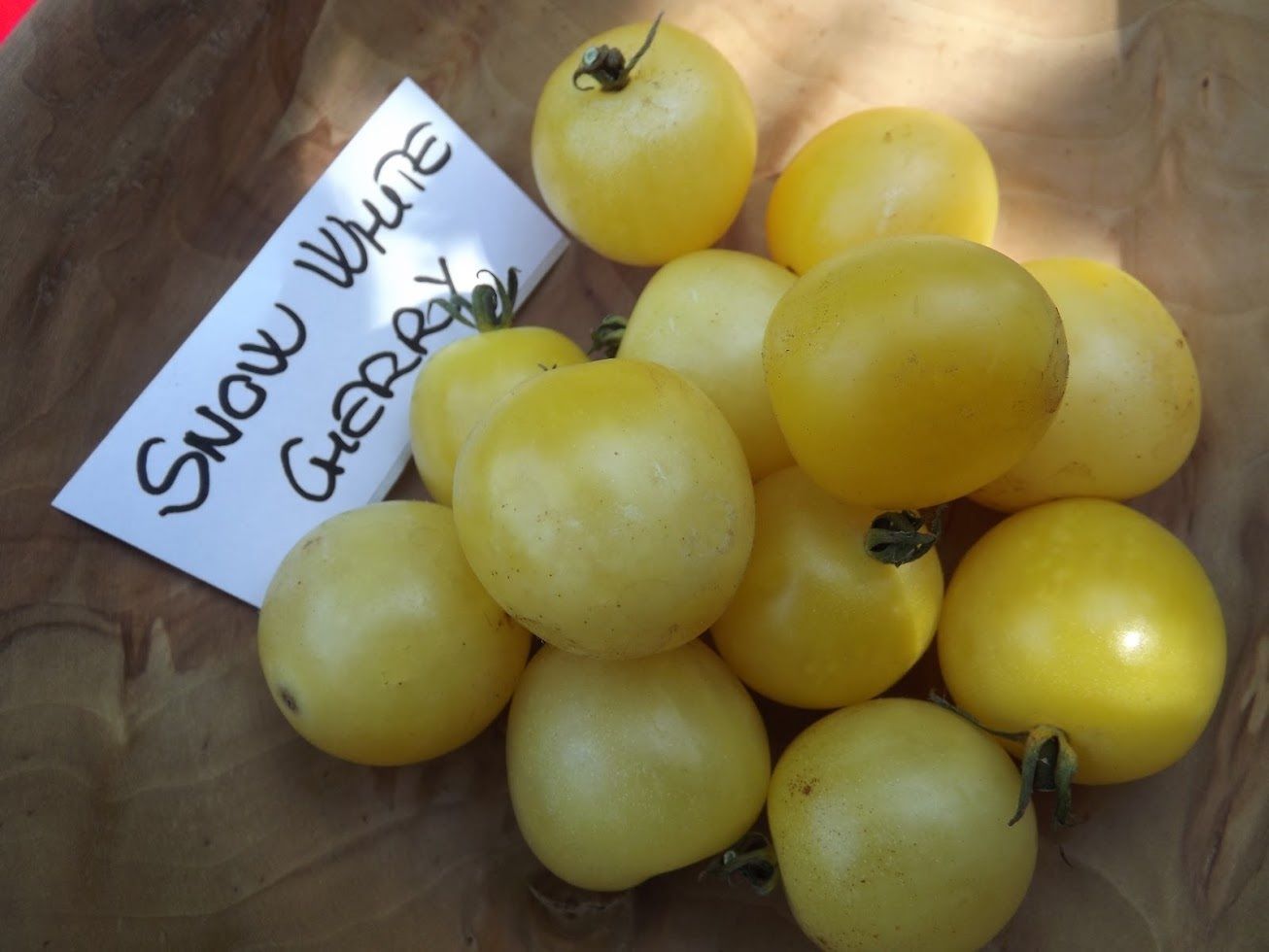 Snow-White Cherry Tomato - 10+ seeds - SWEET and RICH! P 170 | eBay UK