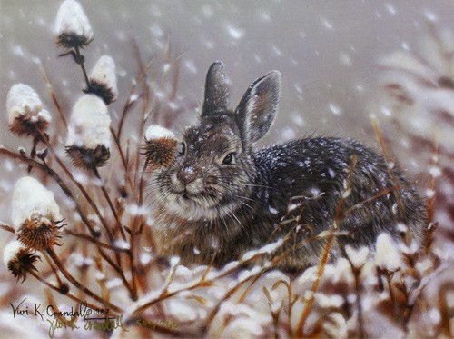 Vivi Crandall Wascally Wabbit - Rabbit | eBay
