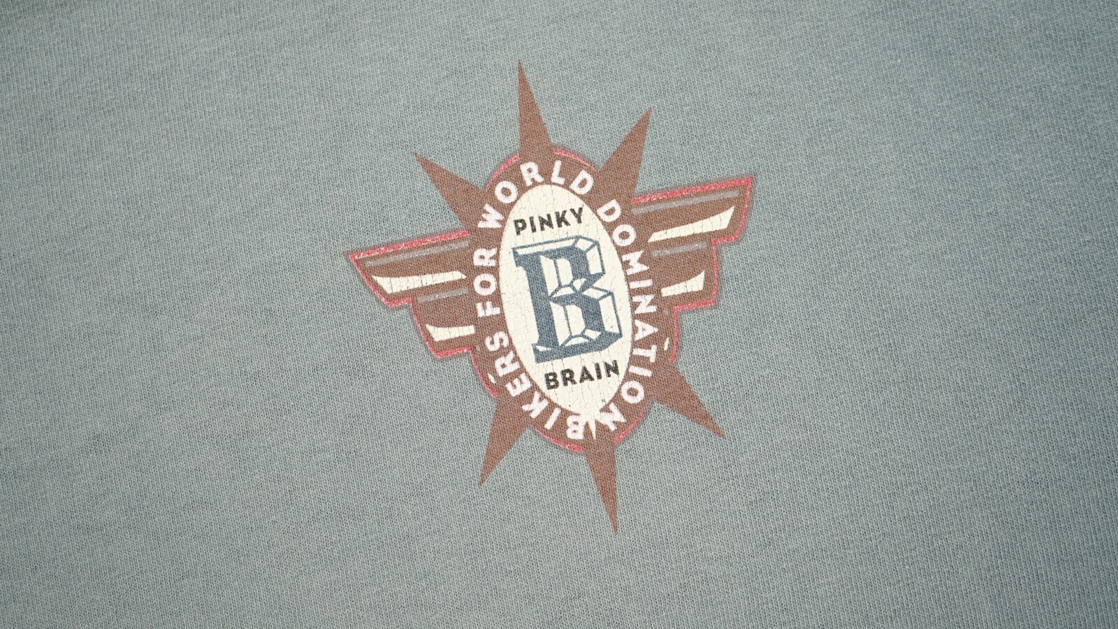 Rare VTG ANIMANIACS Pinky & The Brain Bikers For Worl… - Gem