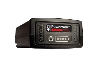 Oregon PowerNow B500S 40-Volt 1.25Ah Lithium-Ion Battery Pack Part ...