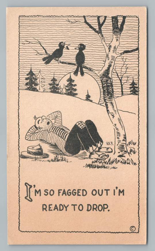 "Fagged Out & Ready to Drop" Scatalogical Bird Humor Postcard-Sized ...